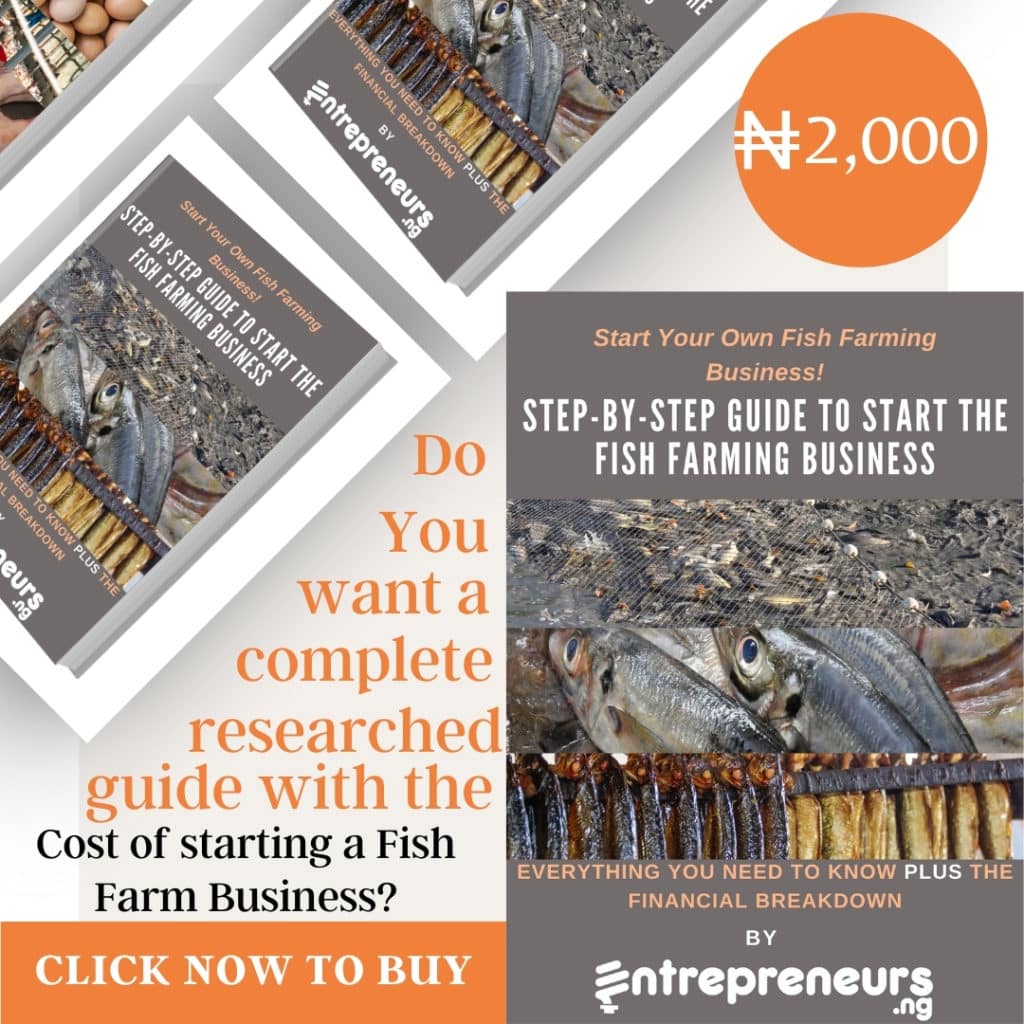 Fish Farming - How To Start Fish Farming Business In Nigeria